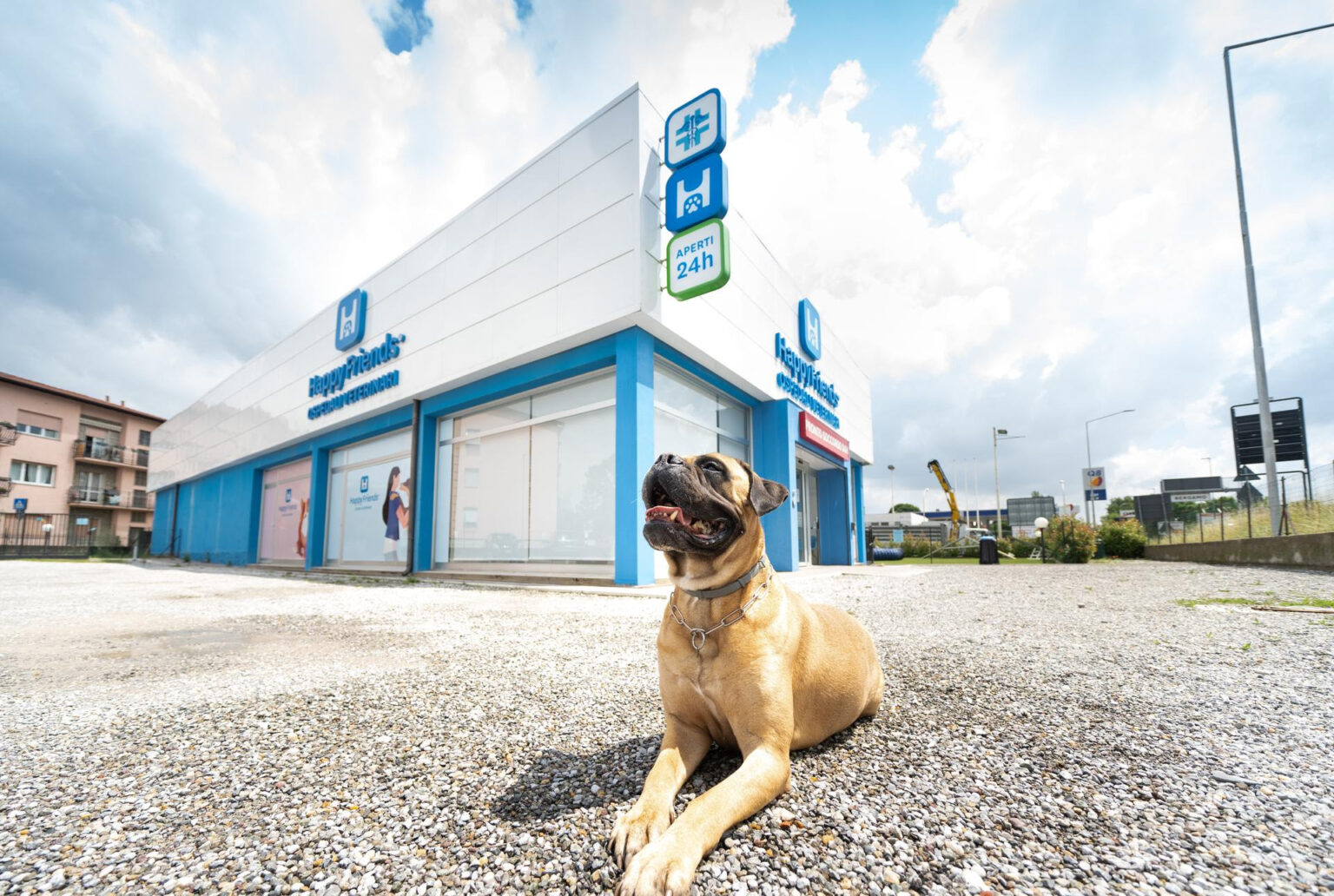 Arcaplanet acquisisce le cliniche veterinarie di Happy friends e ...