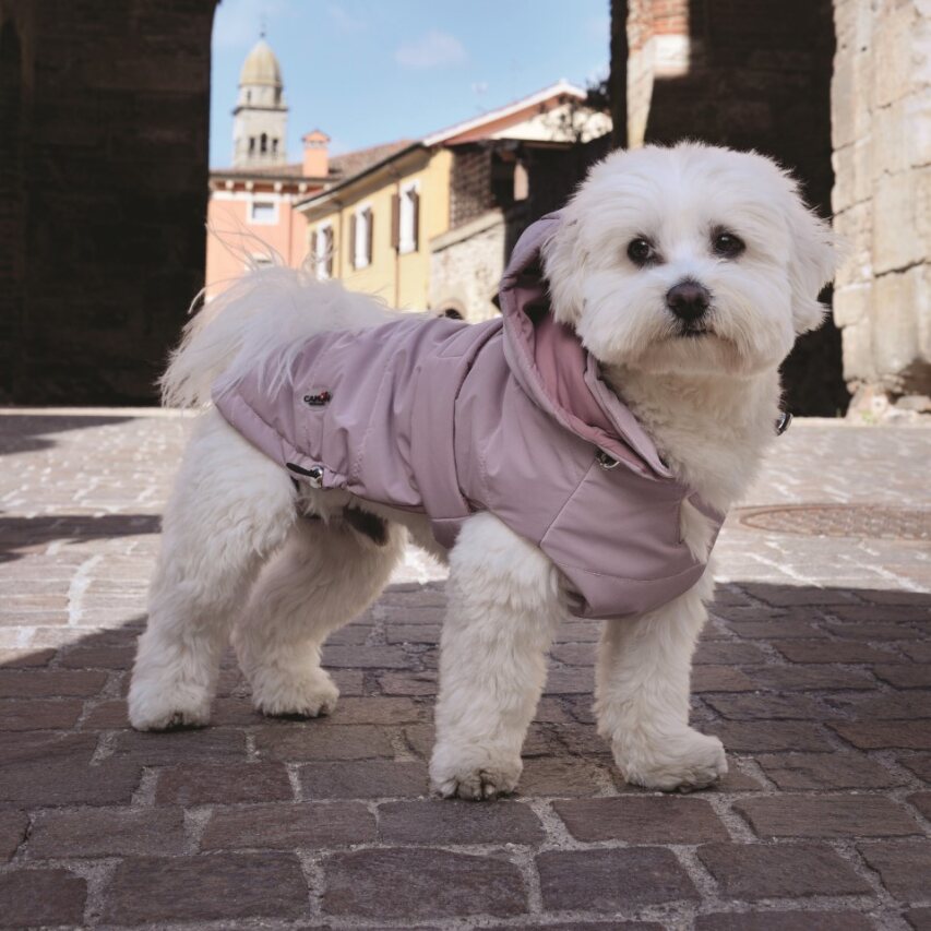Camon presenta la linea d’abbigliamento Fall Winter 23-24