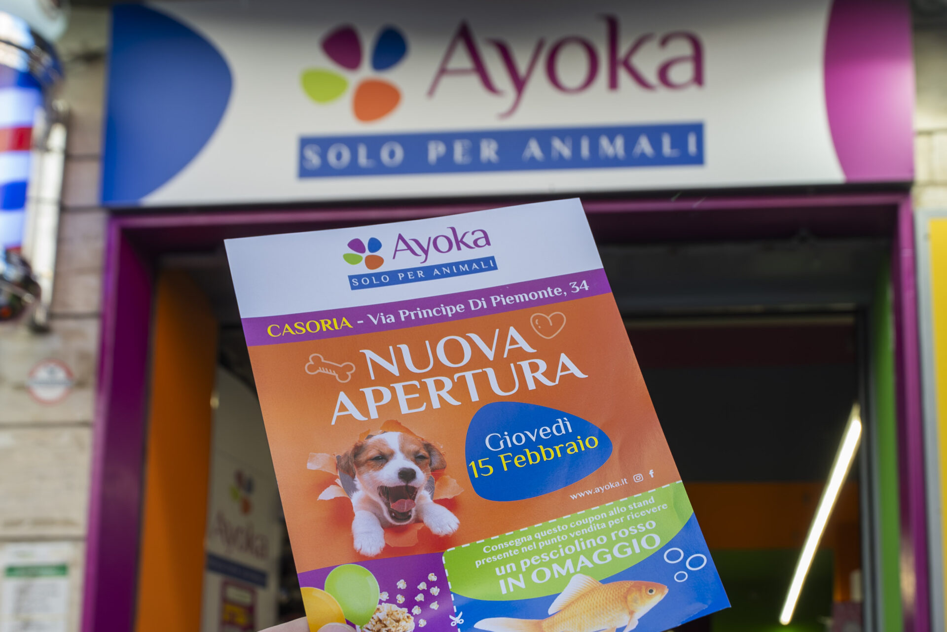 Ayoka ha aperto a Casoria (NA) un nuovo pet shop con toelettatura