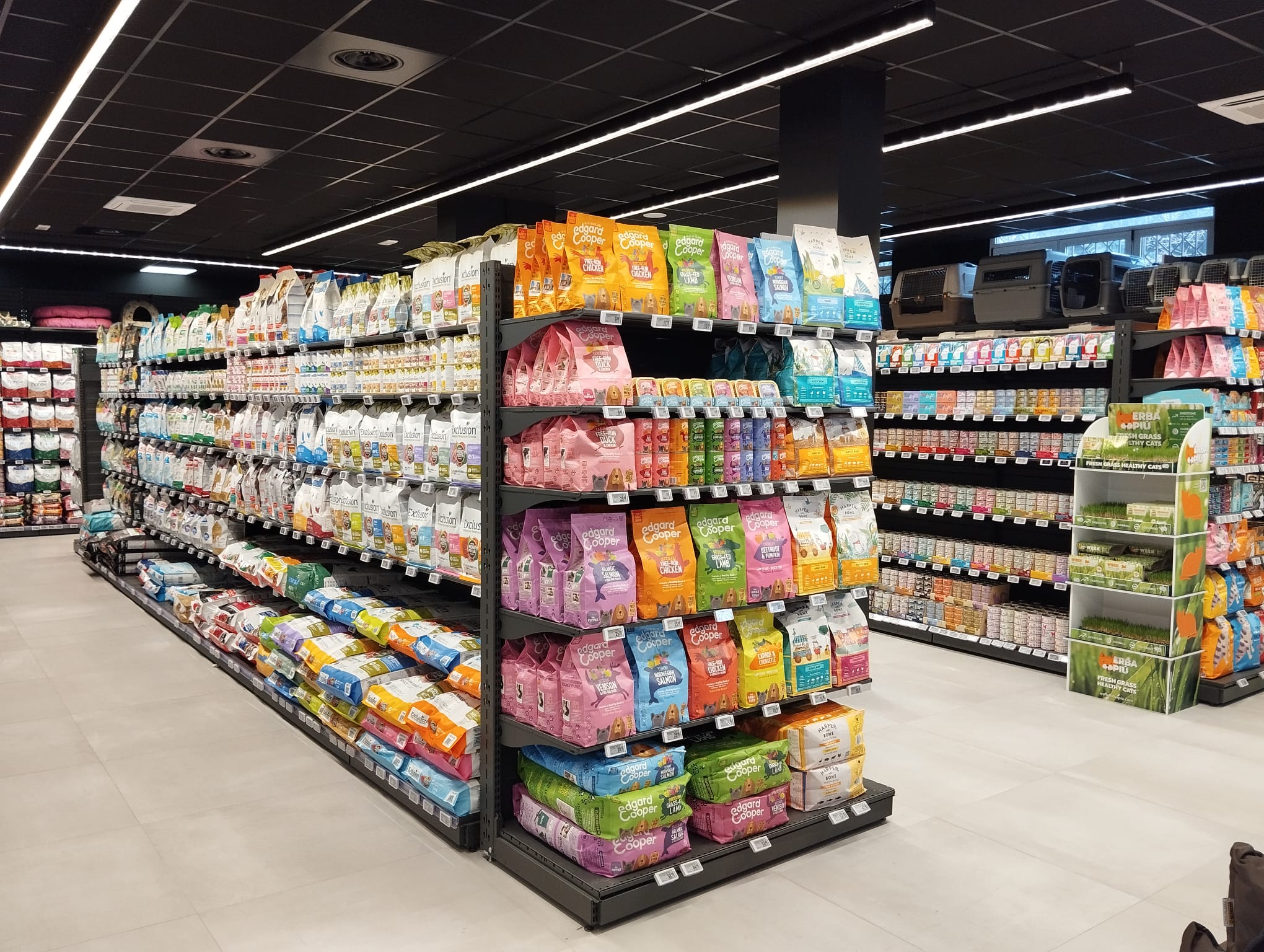 Giulius: apre in zona Prati Fiscali il 12esimo pet shop nella Capitale