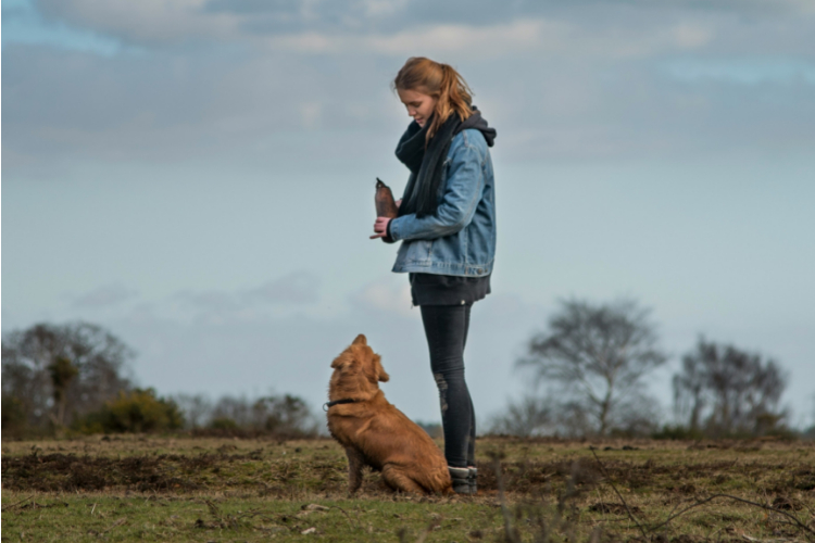 Pet Academy: a ottobre un corso con patentino per i proprietari di cani