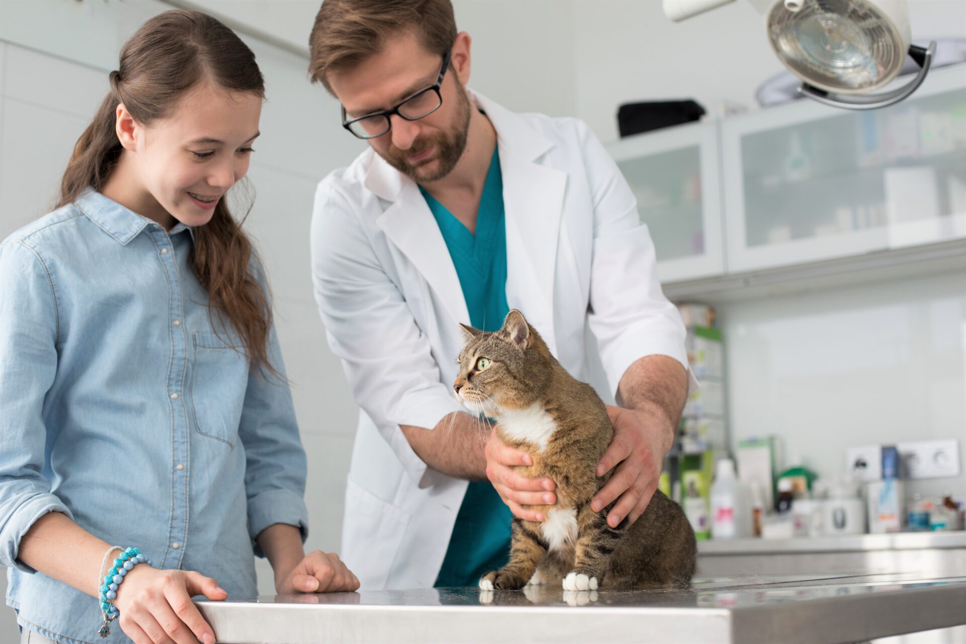 Vet Village Care: una start up per richiedere un supporto veterinario ...